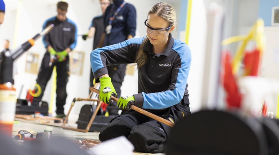 Urgent Reform of Skills System needed for UK to hit Net Zero warn ...