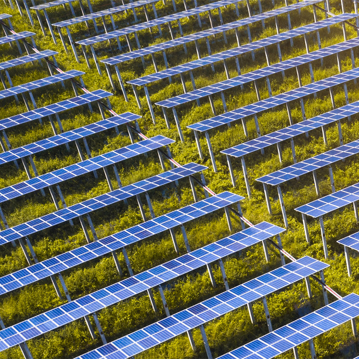 The price of decarbonisation: nearly a third of UK and Irish firms (31% ...